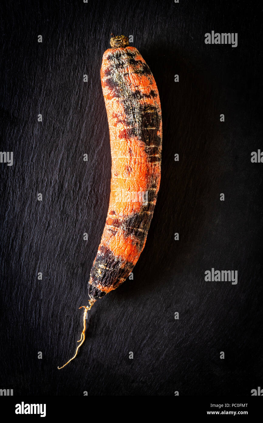 Rotting carrot hi-res stock photography and images - Alamy