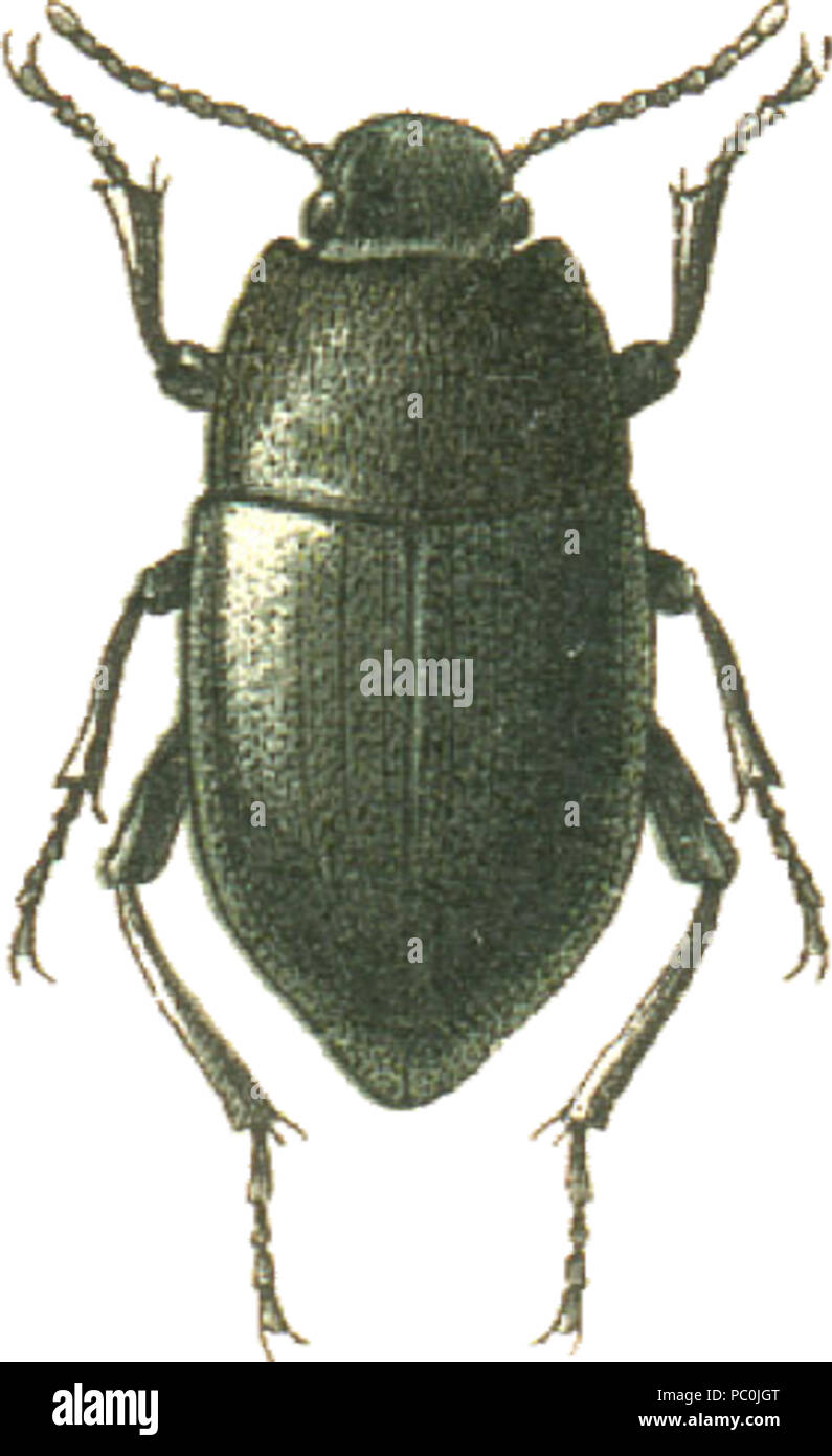 Crop protection strategies Cut Out Stock Images & Pictures - Alamy