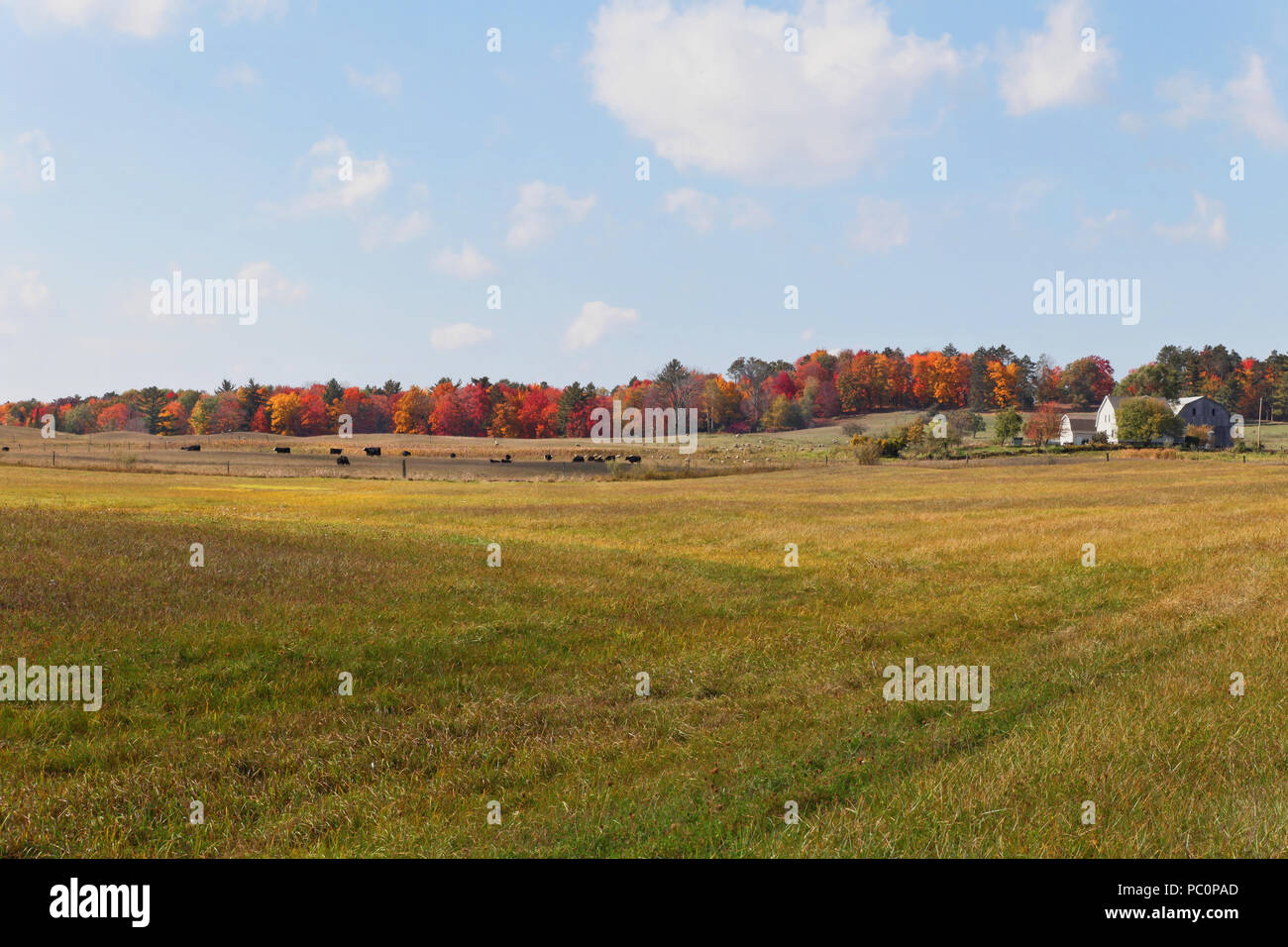Ausable river michigan hi-res stock photography and images - Alamy