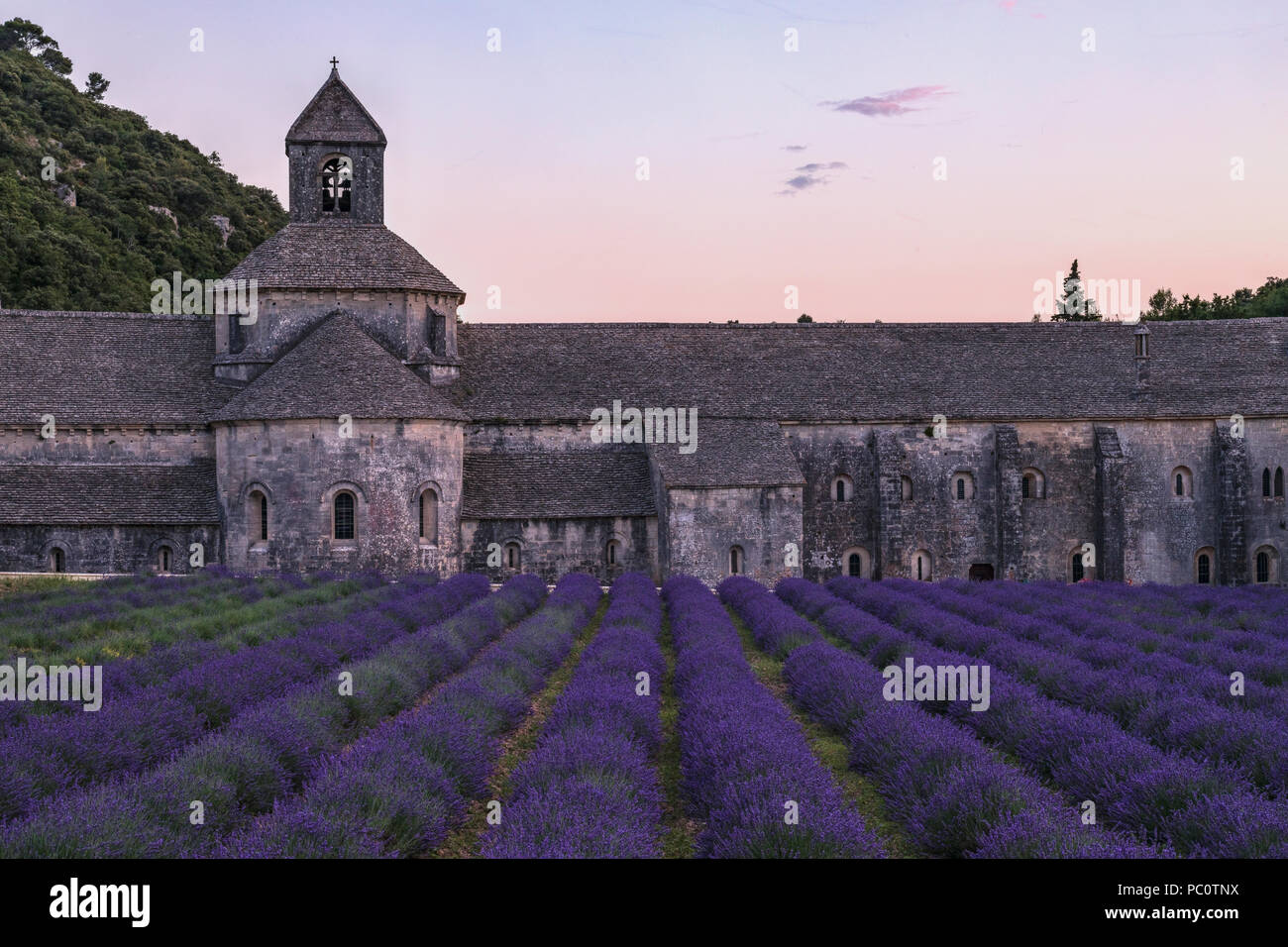 Abbaye notre dame de senanque hi-res stock photography and images - Alamy