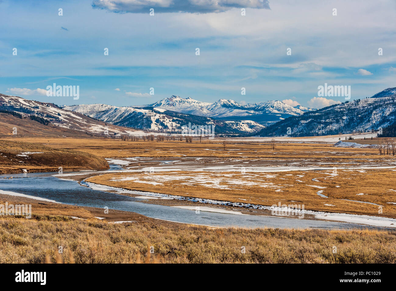 Lamar river hi-res stock photography and images - Alamy