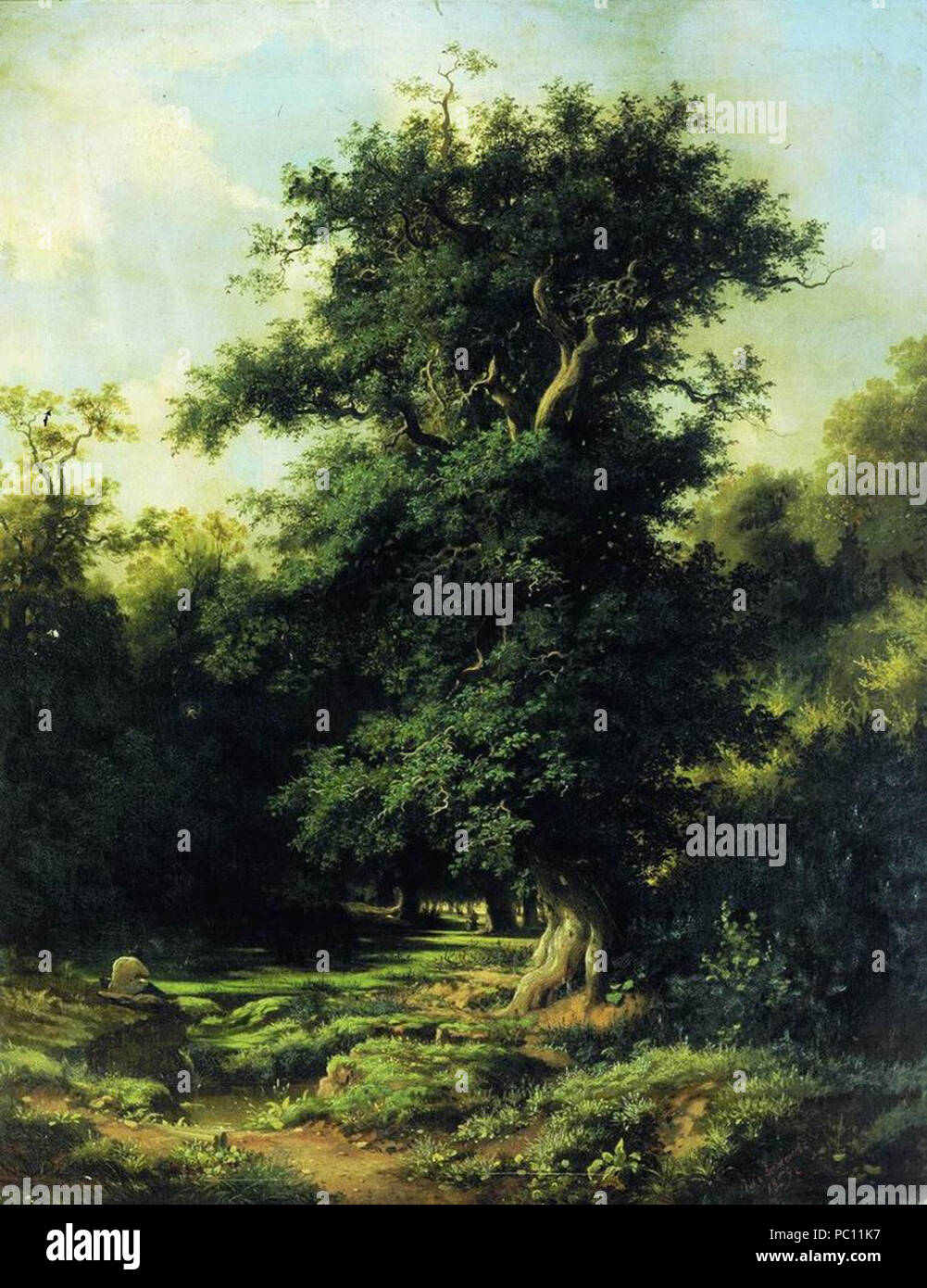 370 Lev Kamenev - Old Oak Stock Photo - Alamy