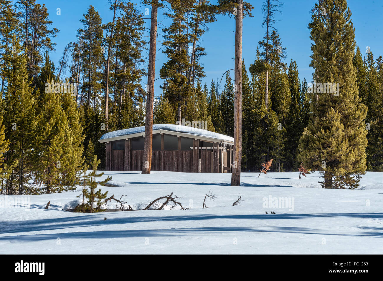April in yellowstone hi-res stock photography and images - Alamy