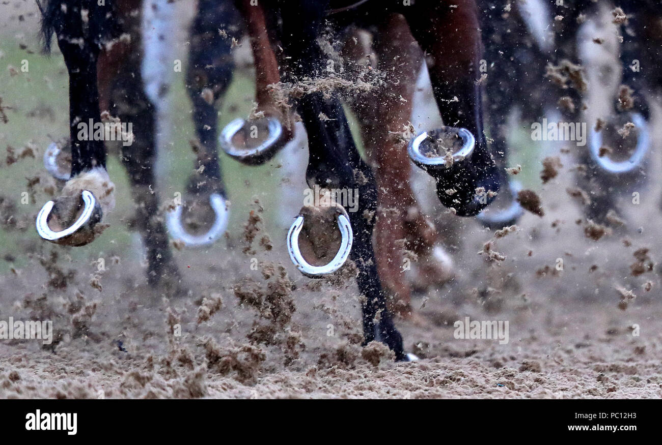 Tapeta racecourse hi-res stock photography and images - Alamy