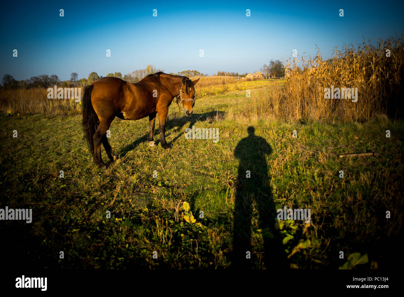 Human Shade High Resolution Stock Photography and Images - Alamy