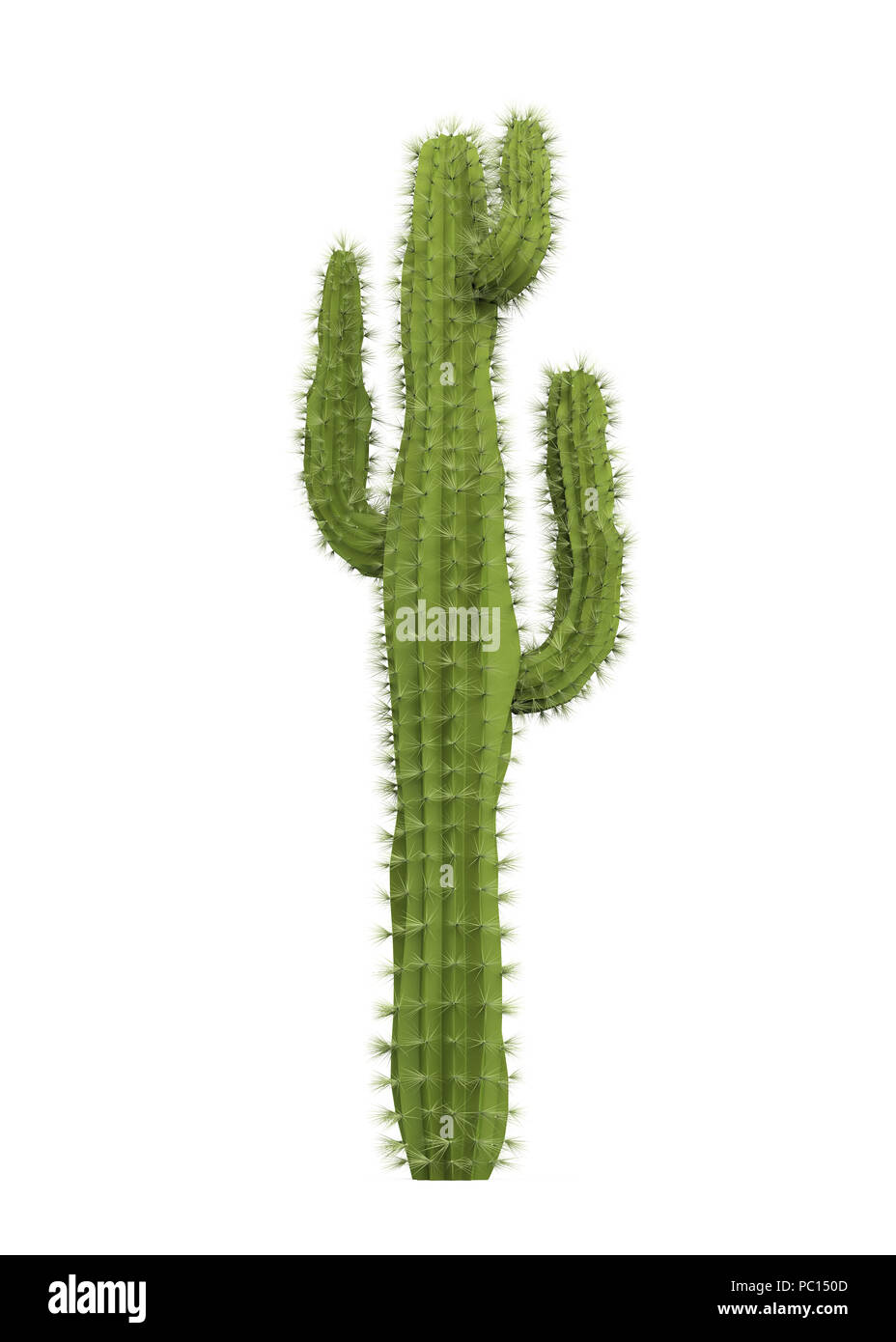 Saguaro cactus Cut Out Stock Images & Pictures - Alamy