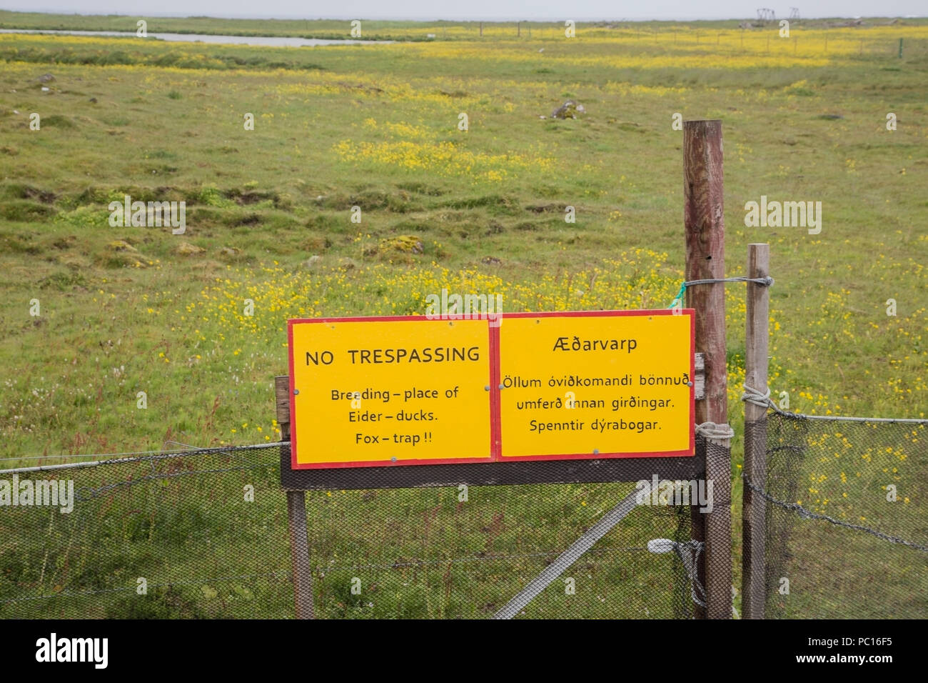 warning sign for breeding ground of Arctic tern (Sterna paradisea ...