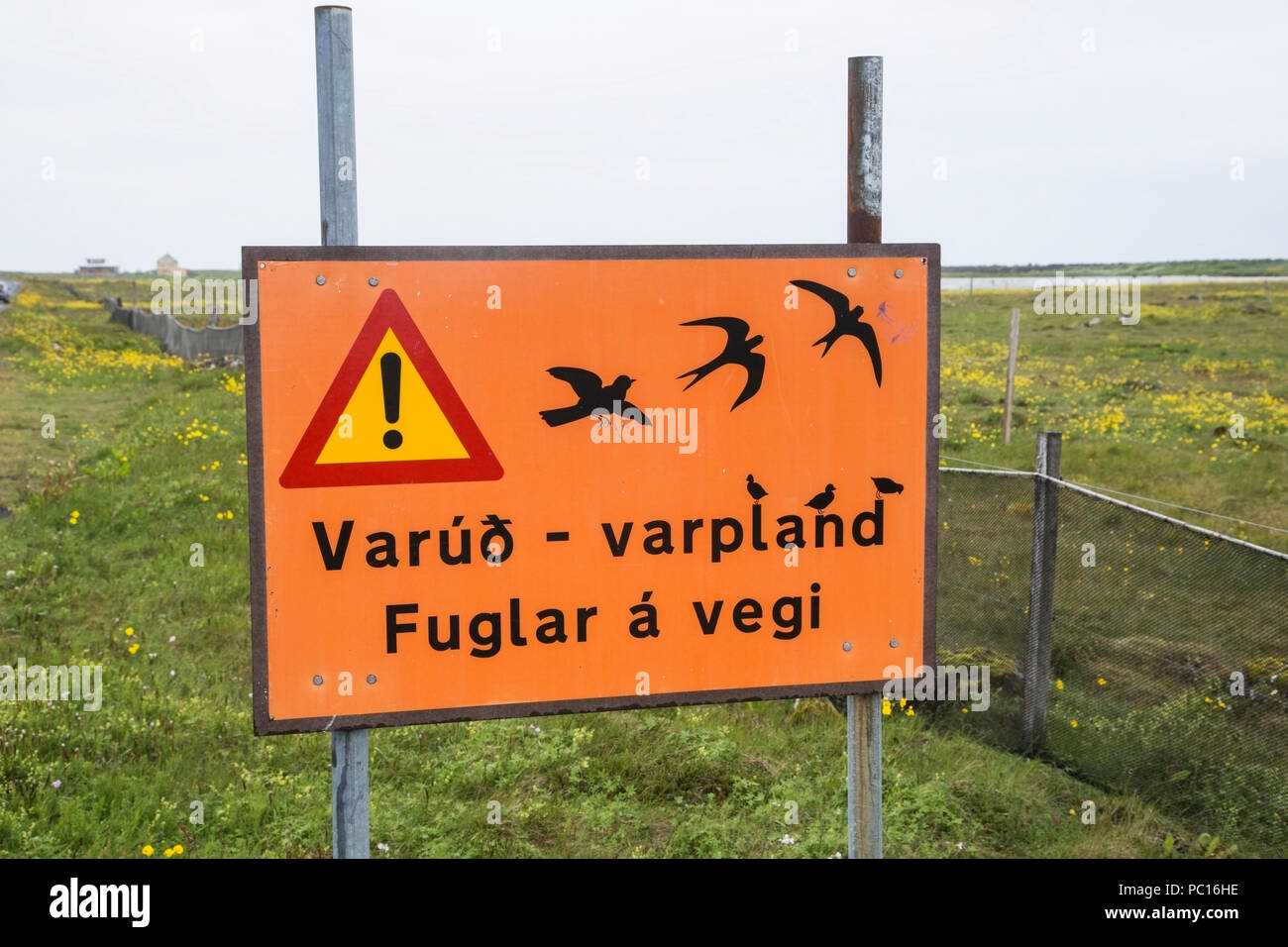 warning sign for breeding ground of Arctic tern (Sterna paradisea ...