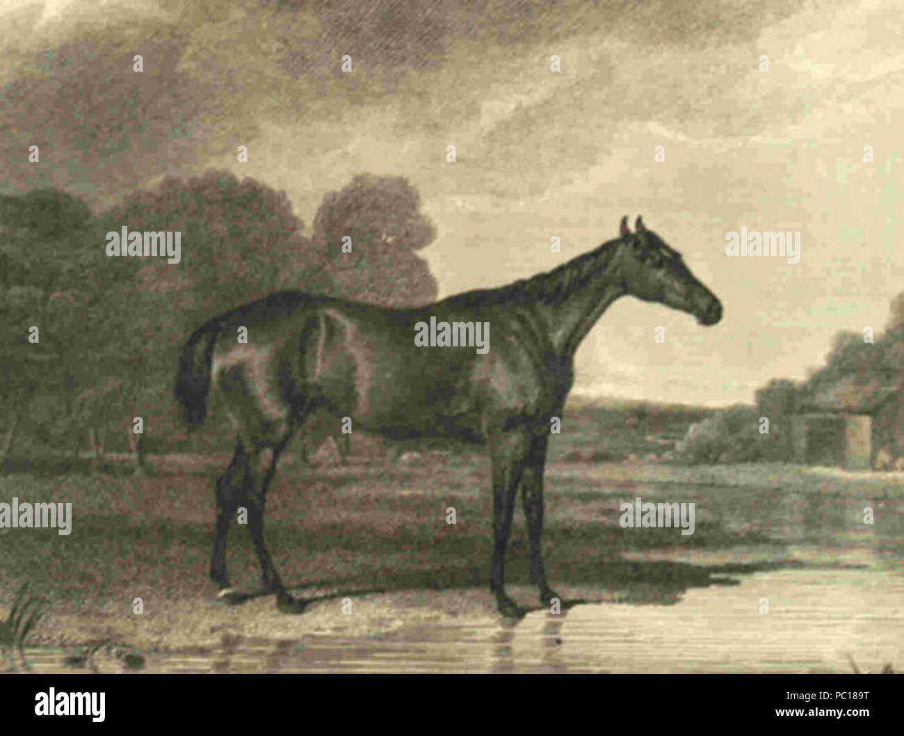 Minuet hi-res stock photography and images - Alamy