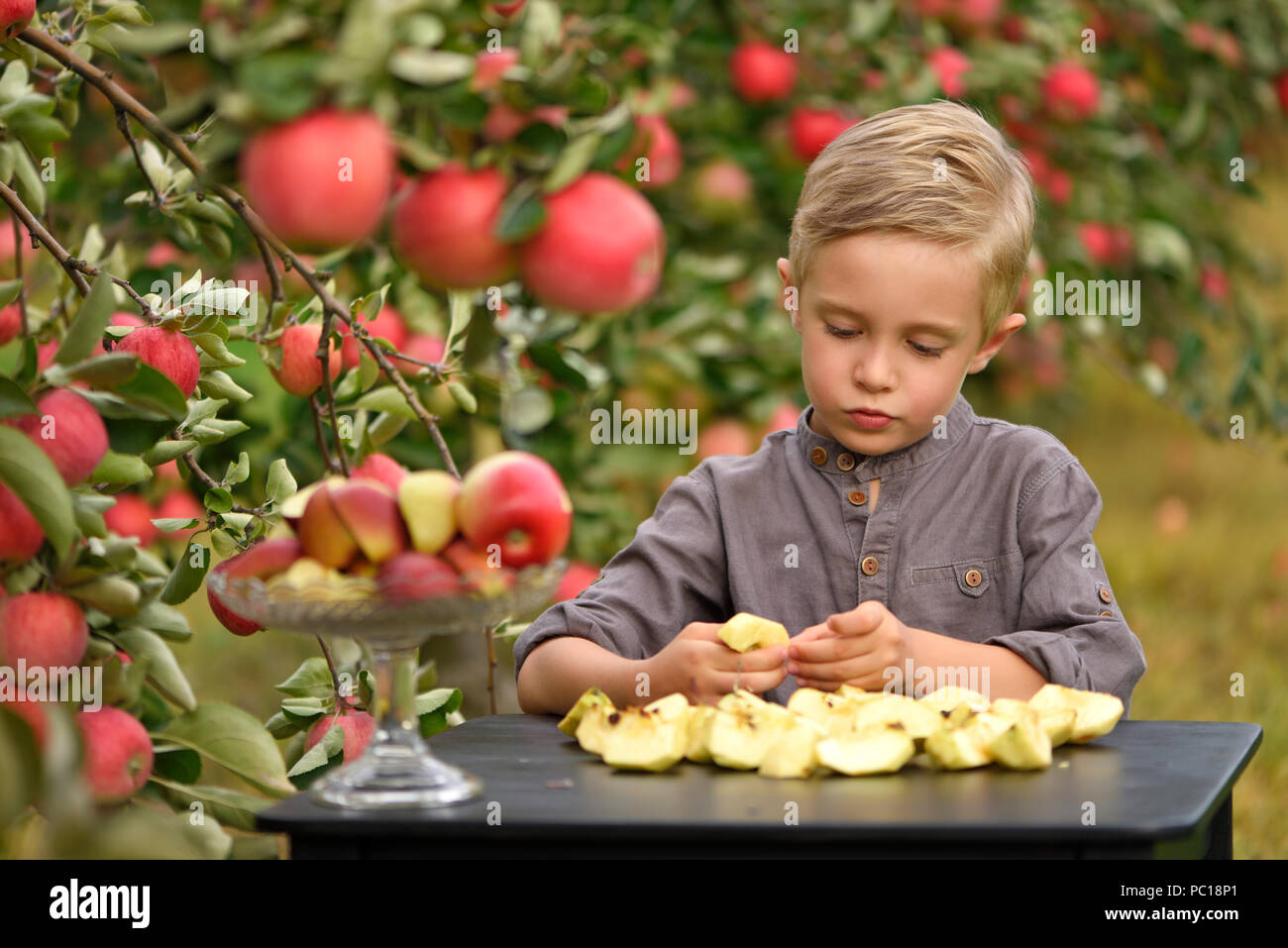 Cute fall cake hi-res stock photography and images - Alamy
