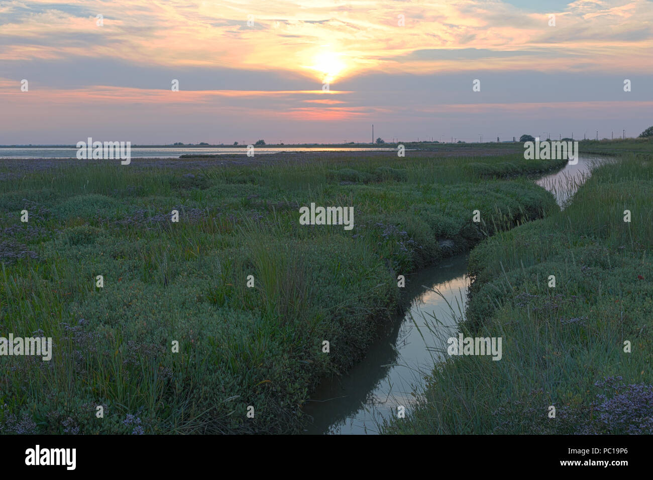 Breydon water hi-res stock photography and images - Alamy