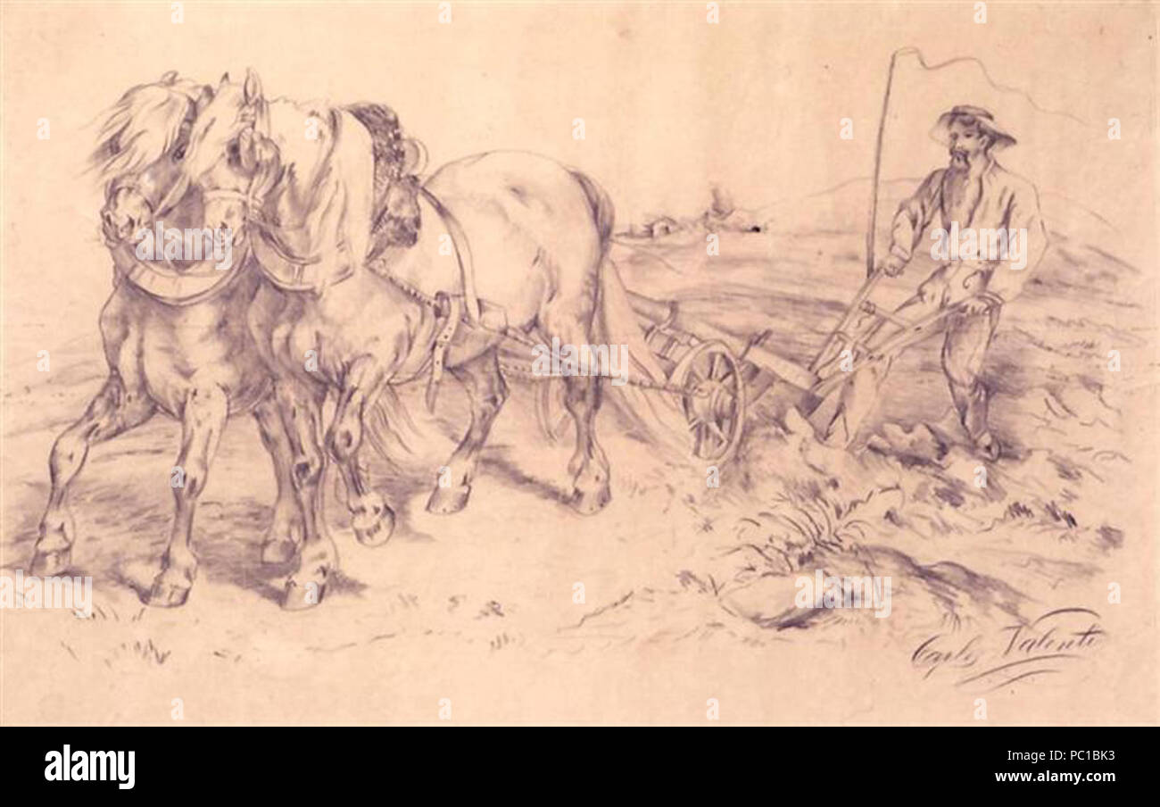 Arado arado arado hi-res stock photography and images - Alamy