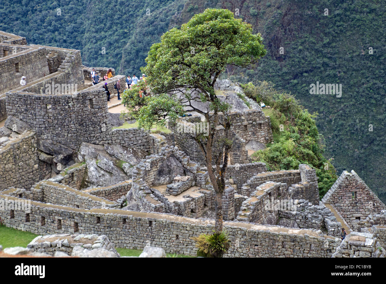 Ancient Inca Ruins at Machu Picchu Stock Photo - Alamy