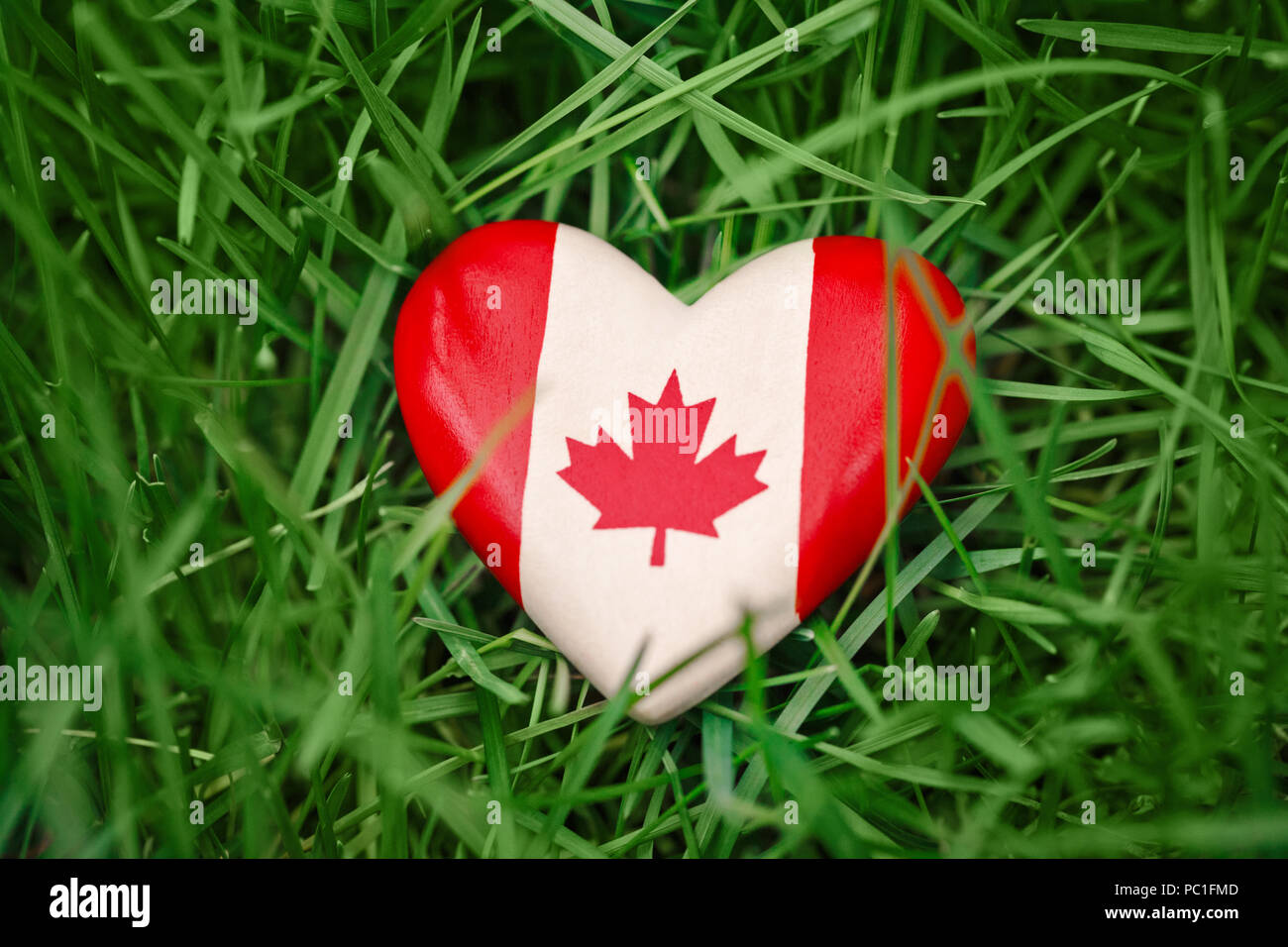 Macro closeup shot of wooden small heart with red white canadian flag ...
