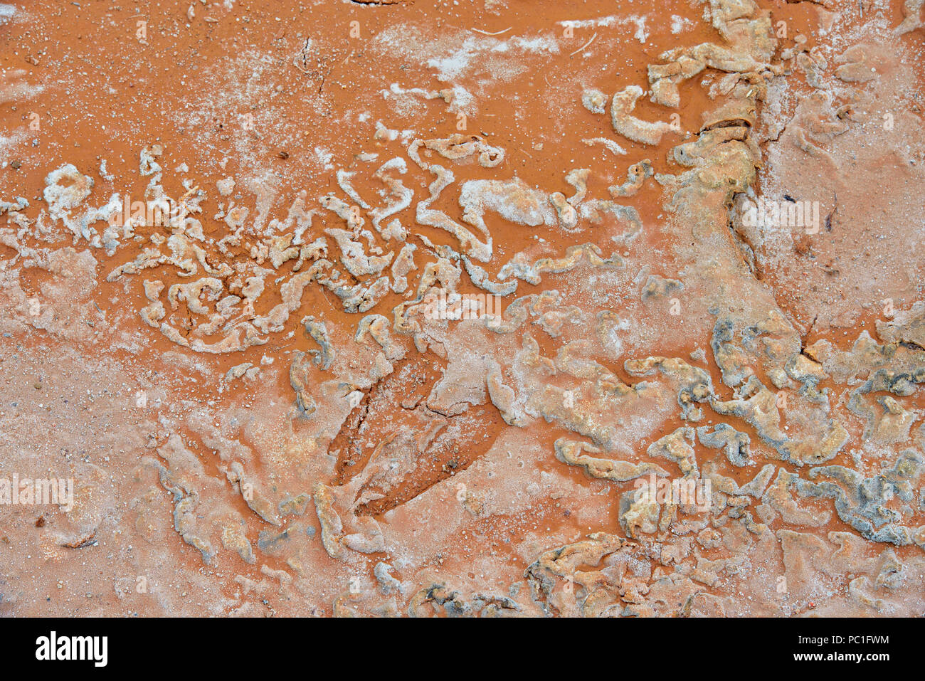 Salt flats at Grosbeak Lake- Patterns in cracked mud with salt deposits ...