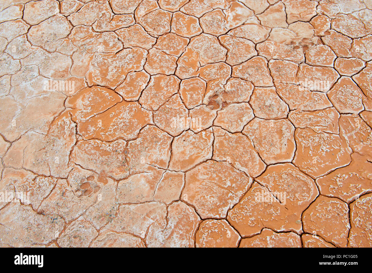 Salt flats at Grosbeak Lake- Patterns in cracked mud with salt deposits ...