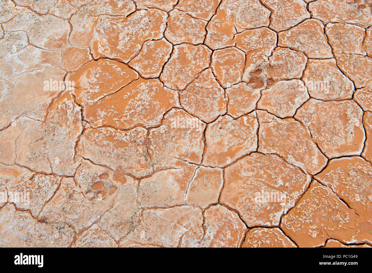 Salt flats at Grosbeak Lake- Patterns in cracked mud with salt deposits ...