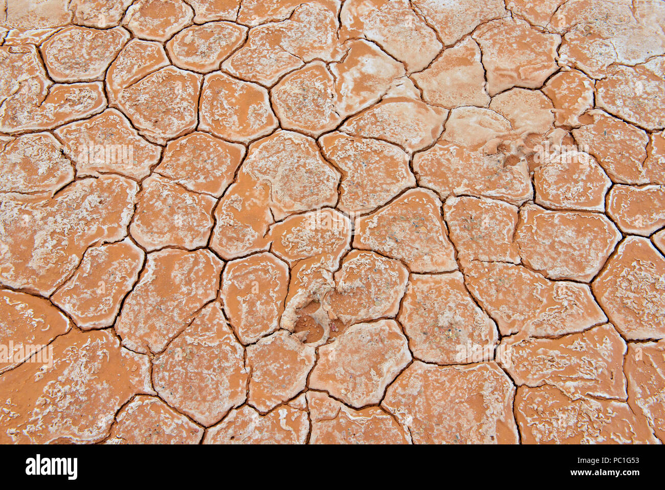 Salt flats at Grosbeak Lake- Patterns in cracked mud with salt deposits ...