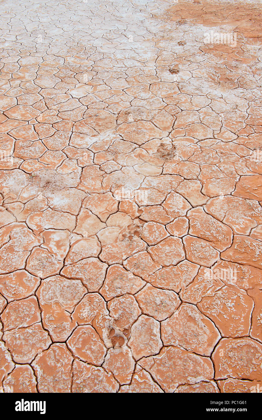 Salt flats at Grosbeak Lake- Patterns in cracked mud with salt deposits ...