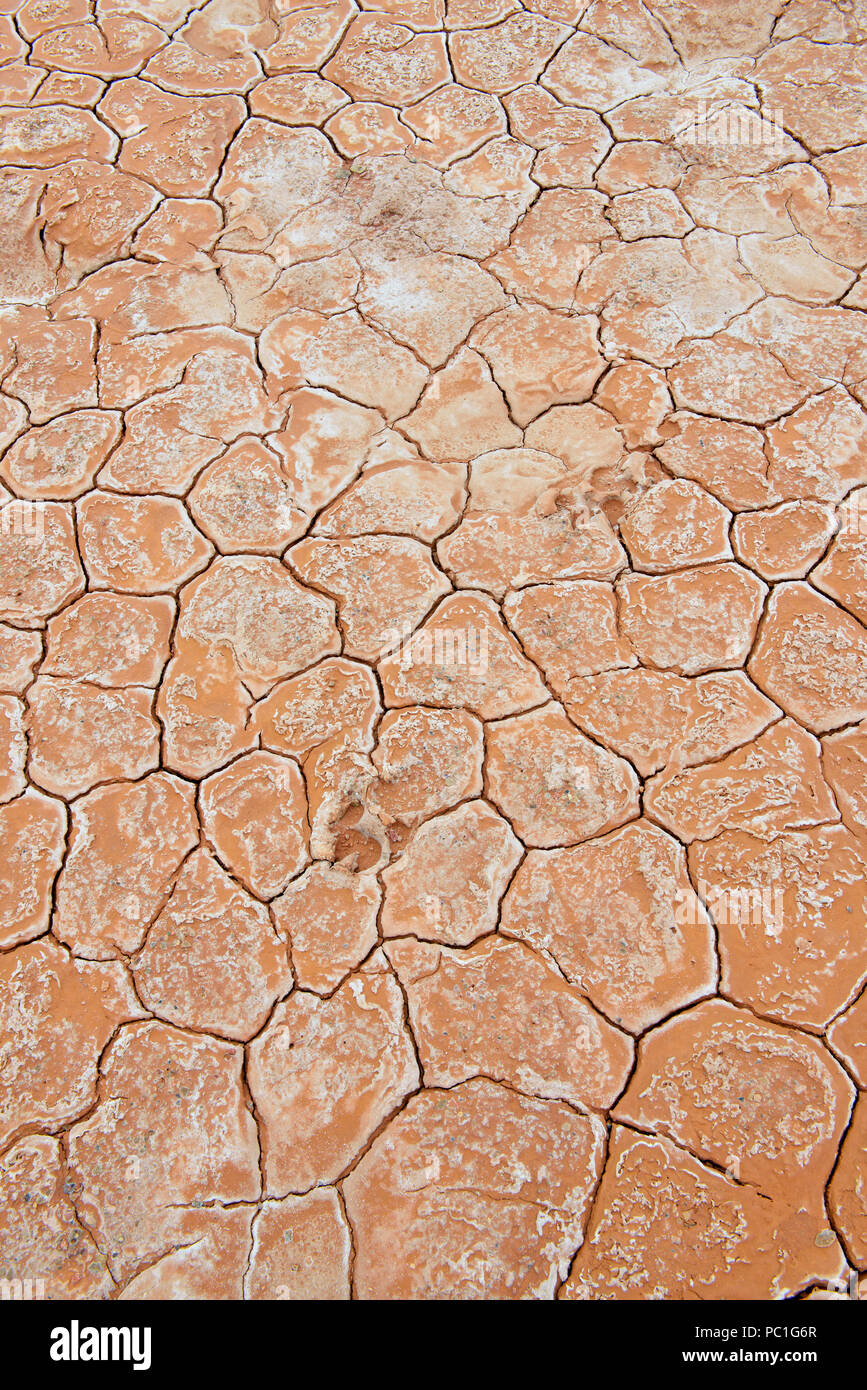 Salt flats at Grosbeak Lake- Patterns in cracked mud with salt deposits ...
