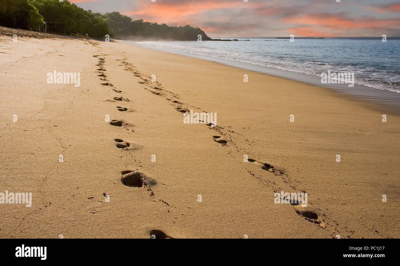 Footsteps on Early Morning Beach Stock Photo - Alamy