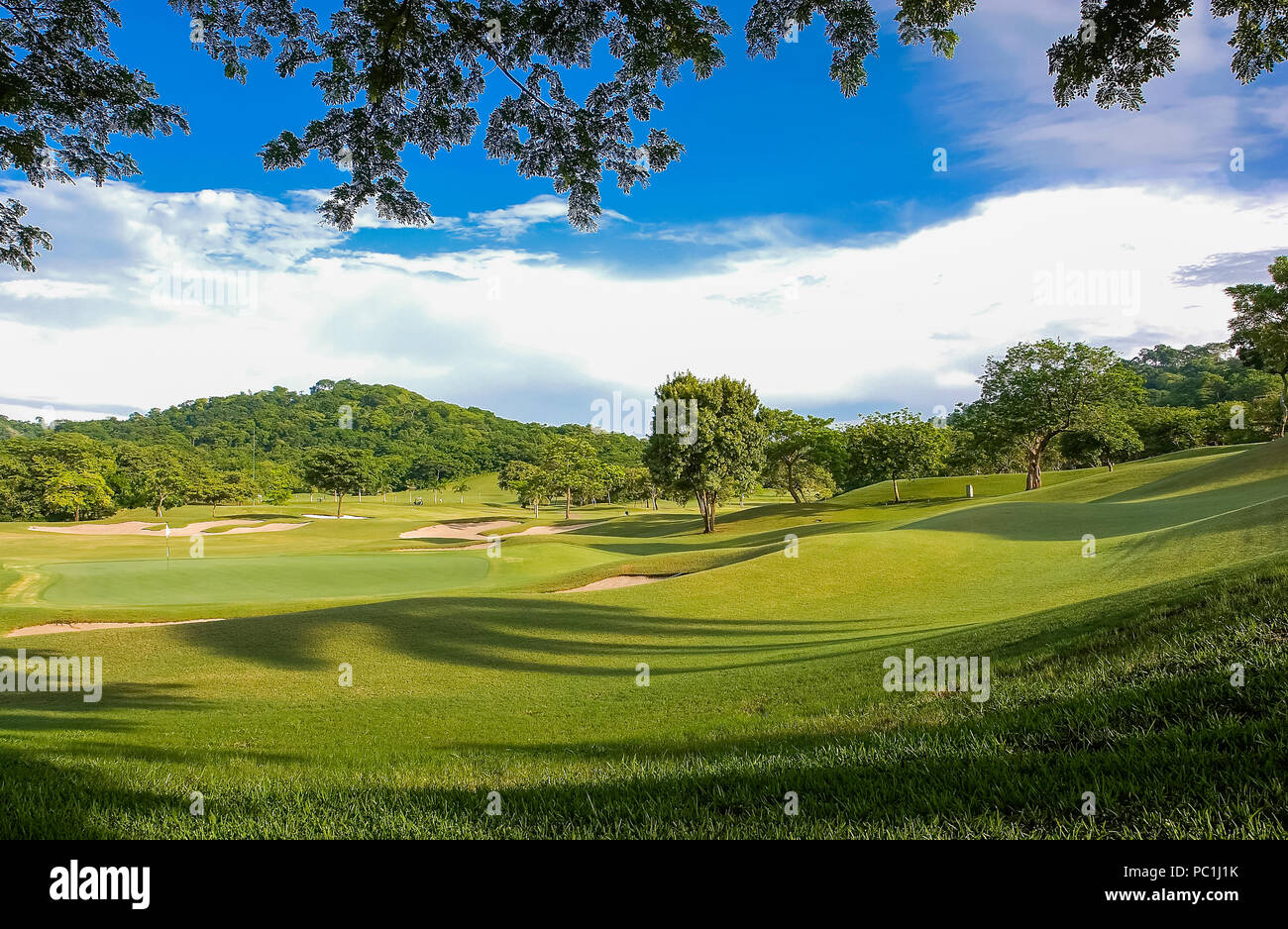 Jungle course hi-res stock photography and images - Alamy