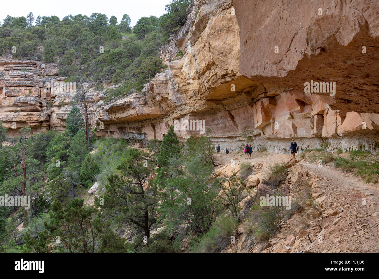 Cliff Springs Trail - North Rim of the Grand Canyon, Grand Canyon ...