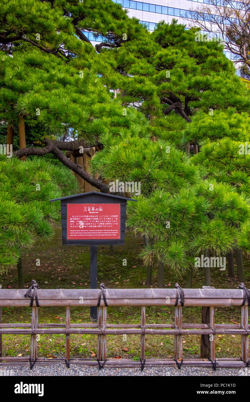 Hamarikyu (also Hama Rikyu) Oldest Japanse Garden and modern ...