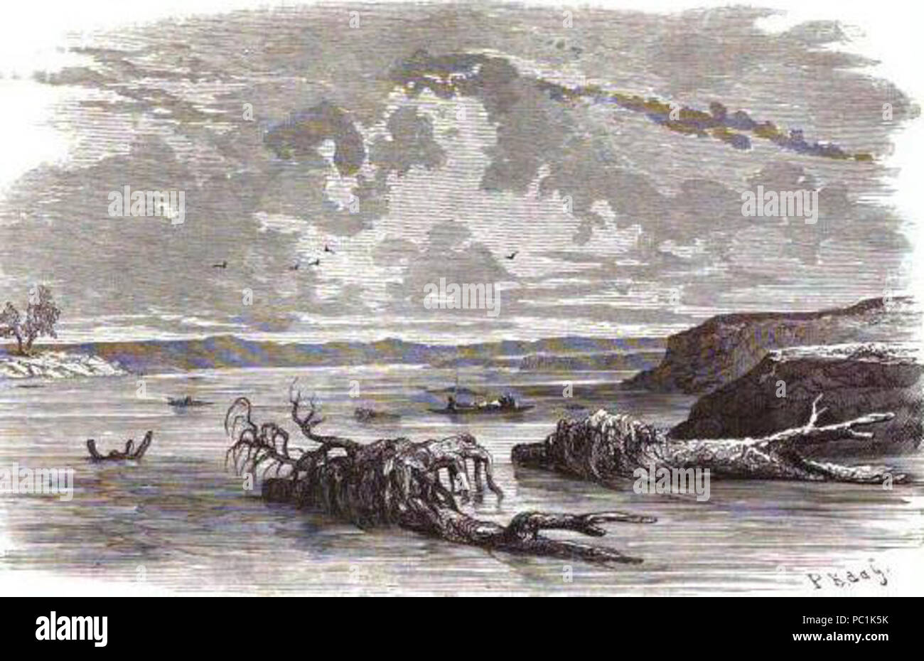 Phasis hi-res stock photography and images - Alamy