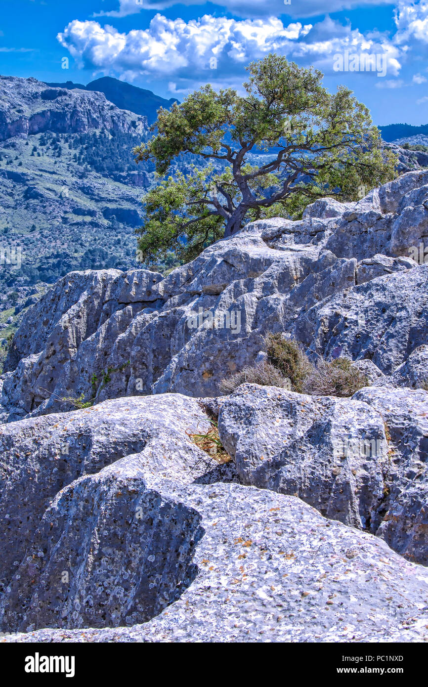 Puig Major Stock Photos & Puig Major Stock Images - Alamy