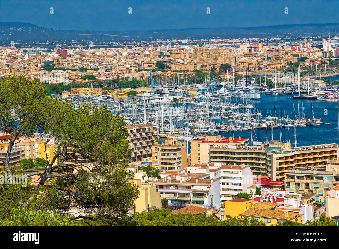 Palma de Mallorca skyline Stock Photo - Alamy