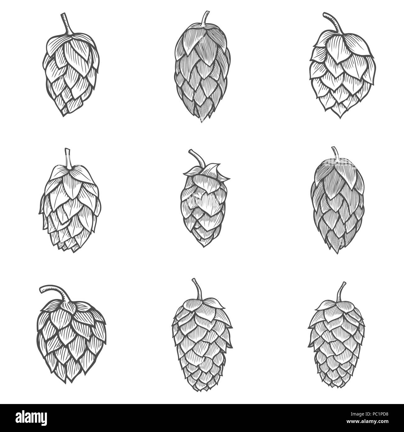 Hops Black and White Stock Photos & Images - Alamy