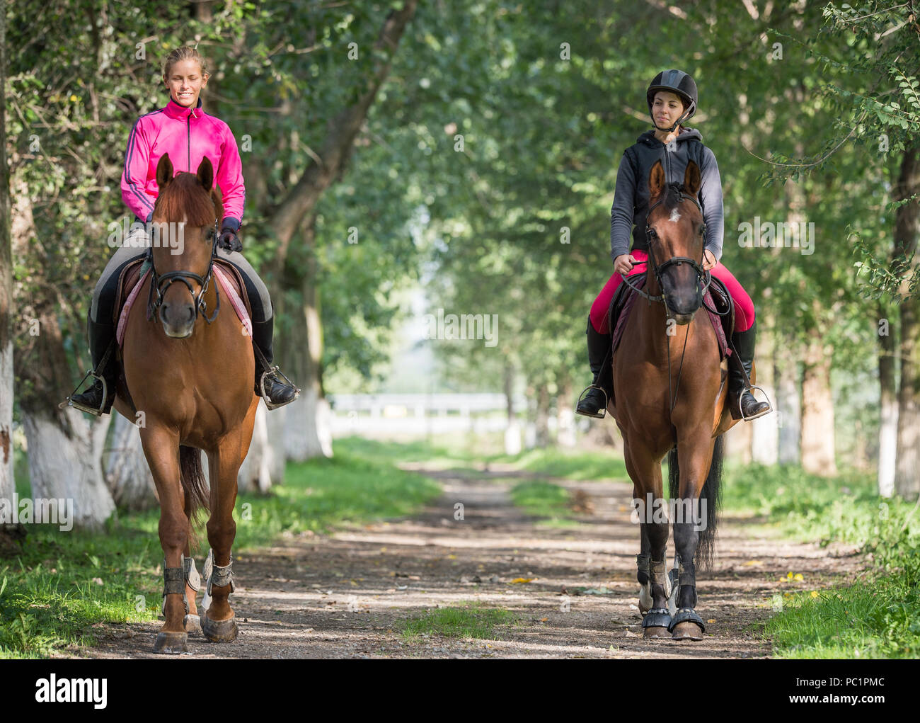 Girls on a horse ride Stock Photo - Alamy