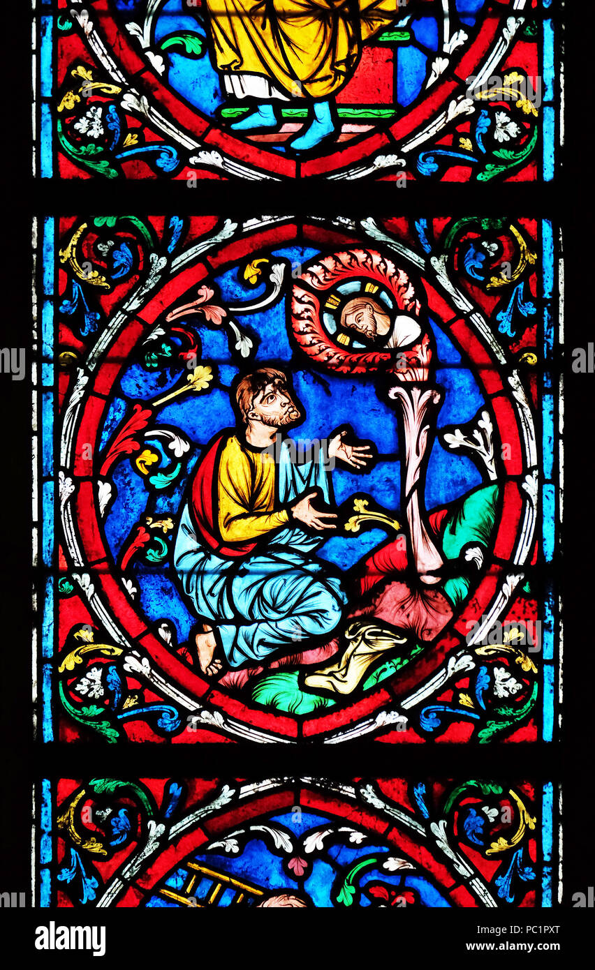 Moses, stained glass window in the Notre Dame Cathedral, UNESCO World ...
