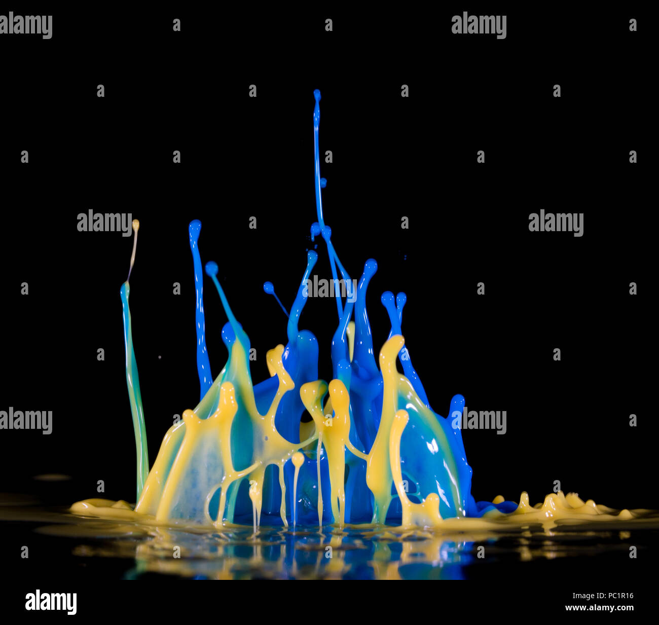 Abstract sculptures of colorful splashes of paint. Dancing liquid on a ...