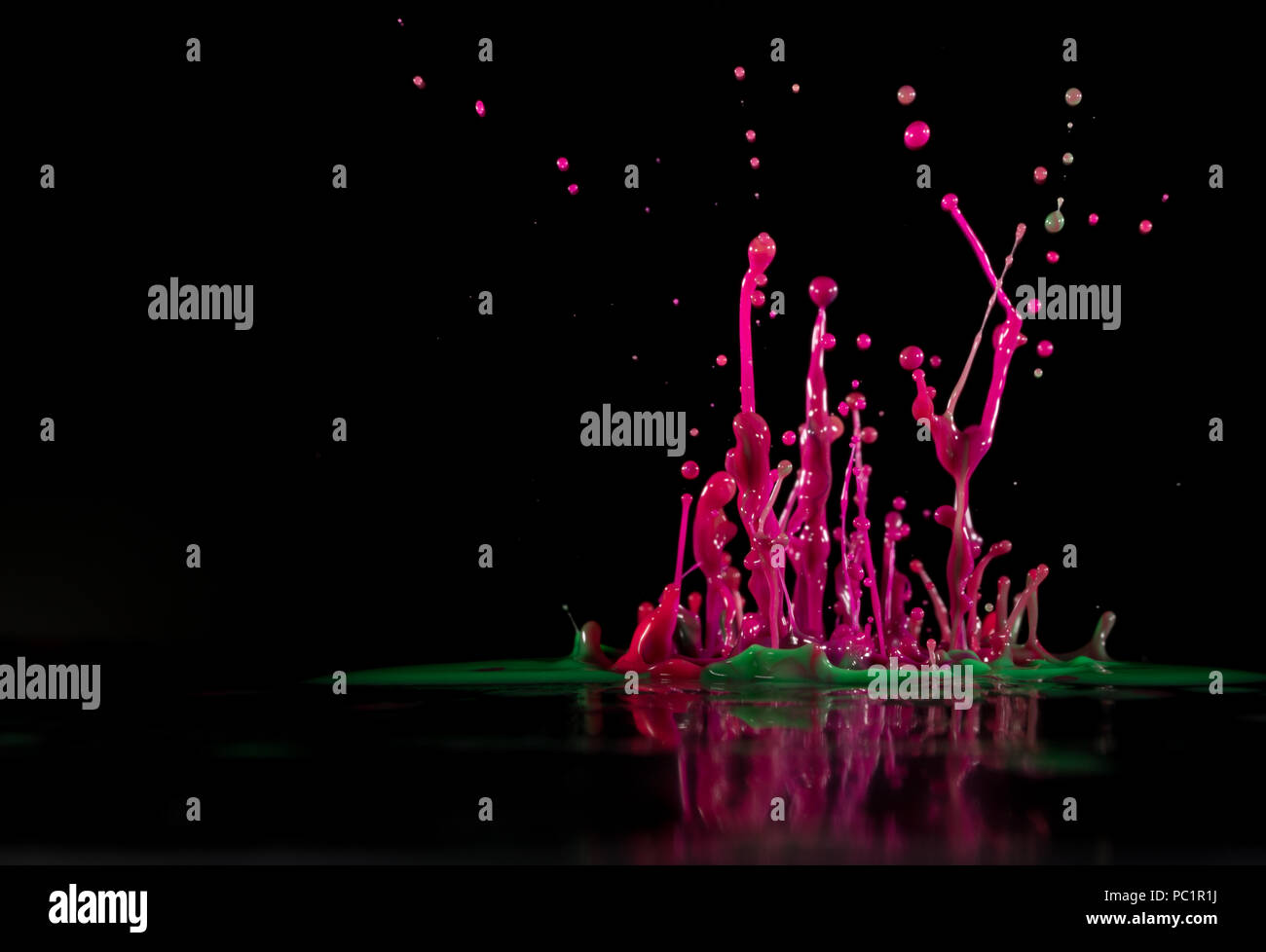 Magenta, pink paint, ink splash on black background Stock Photo - Alamy