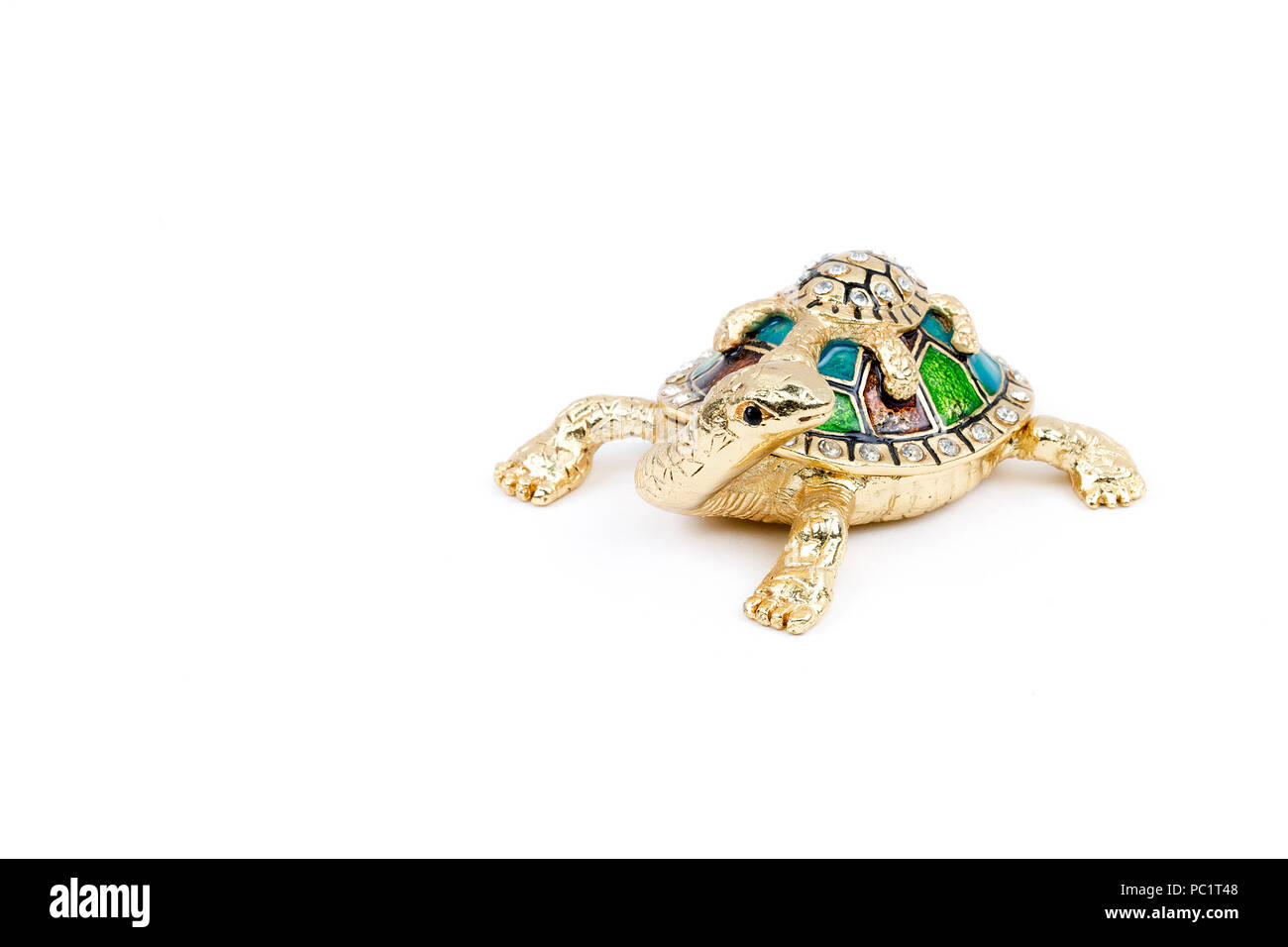 Golden turtle hi-res stock photography and images - Alamy