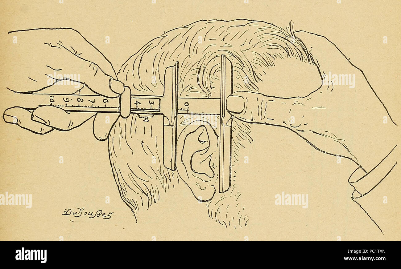 14 Bertillon - Identification anthropométrique (1893) 265 Stock Photo ...