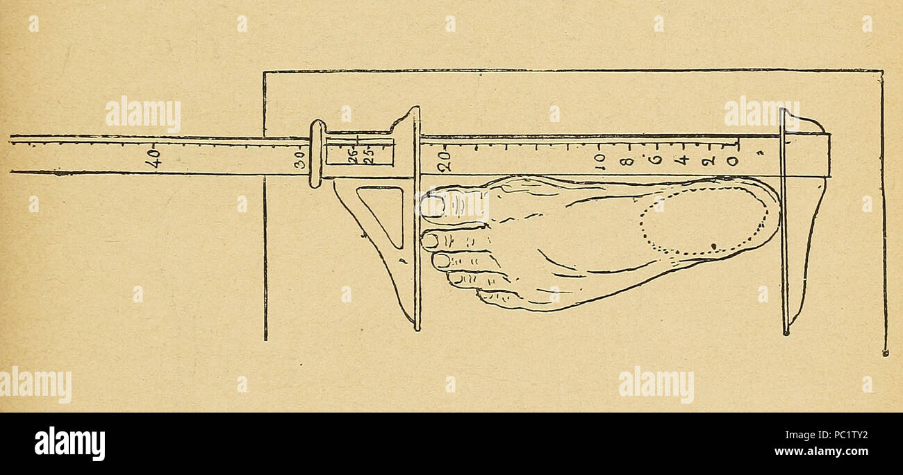 Anthropometric hi-res stock photography and images - Alamy