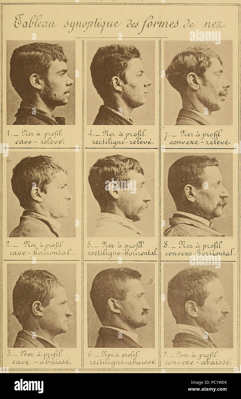 14 Bertillon - Identification anthropométrique (1893) 285 Stock Photo ...