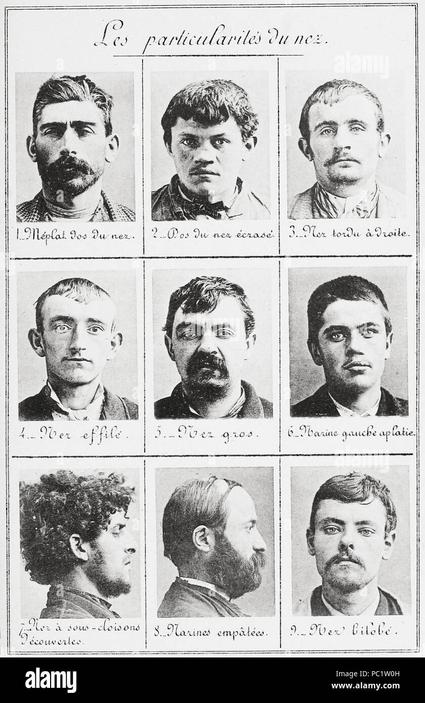 14 Bertillon - Identification anthropométrique (1893) 295 n&b Stock ...