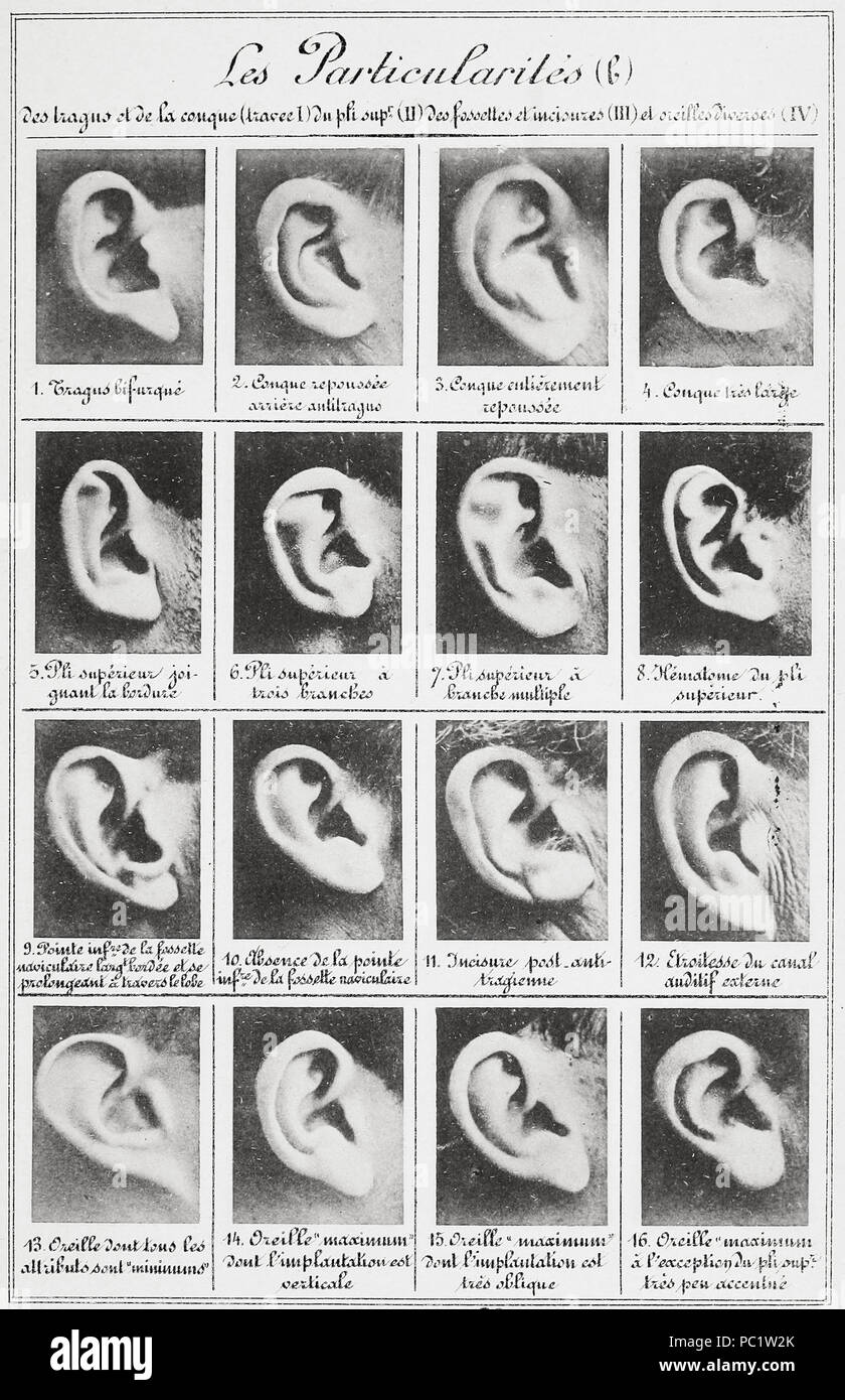 14 Bertillon - Identification anthropométrique (1893) 335 n&b Stock ...