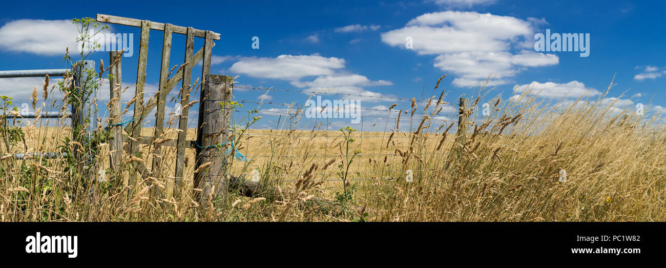 Gate in field Stock Photo - Alamy