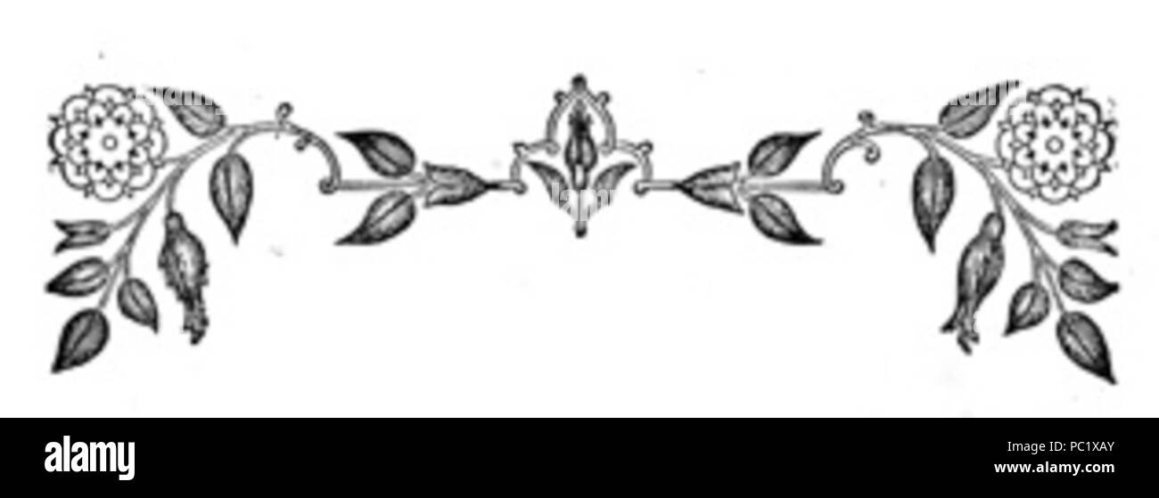 Floral border Cut Out Stock Images & Pictures - Alamy