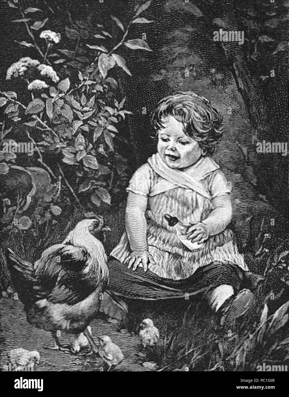 Child chickens hi-res stock photography and images - Alamy