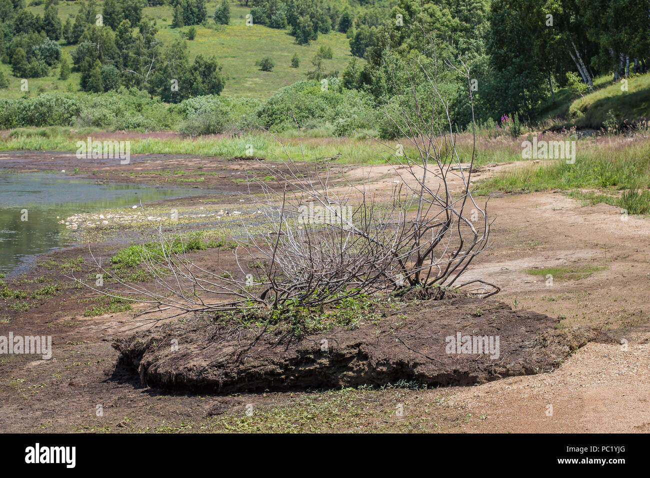 Peat small islands stranded on the shore of Vlasina lake Stock Photo ...