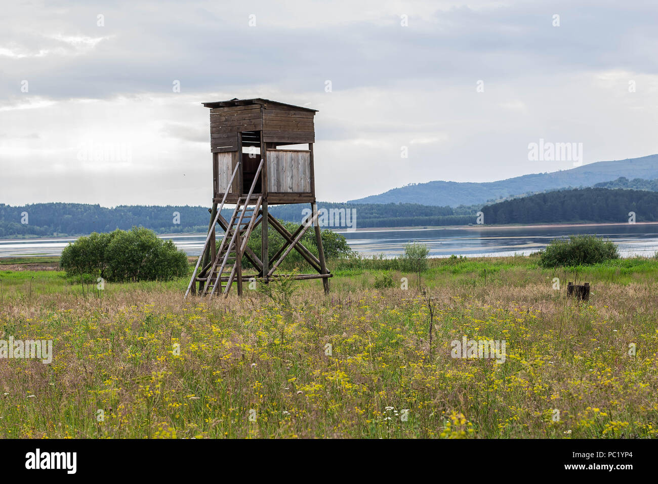Architecture birdwatching tower hi-res stock photography and images - Alamy
