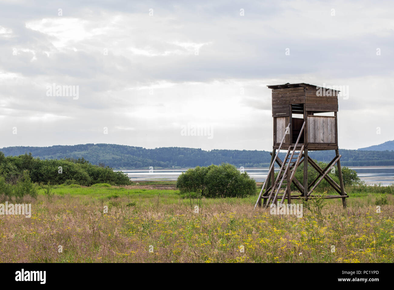 Architecture birdwatching tower hi-res stock photography and images - Alamy