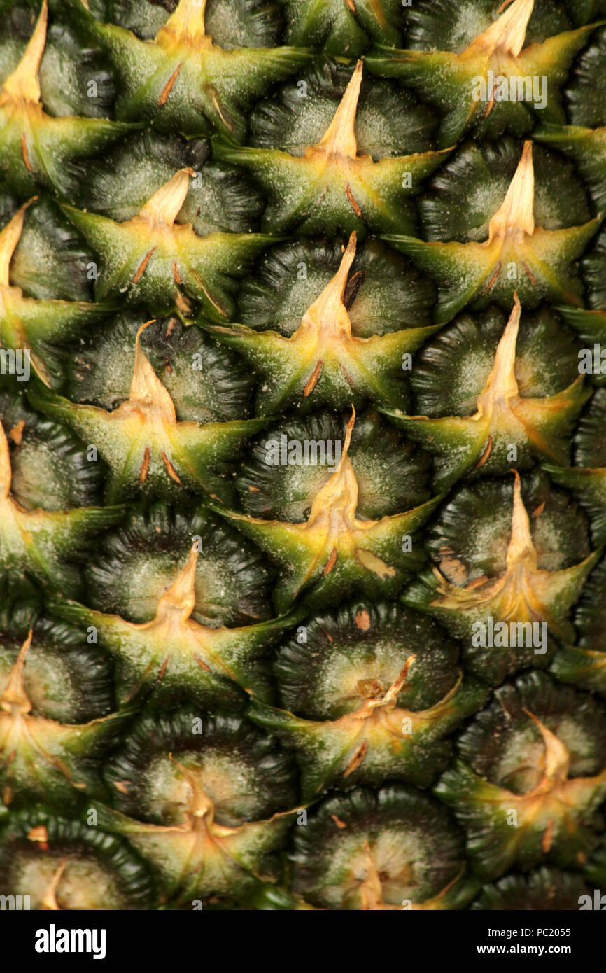 Pineapple skin close up hi-res stock photography and images - Alamy