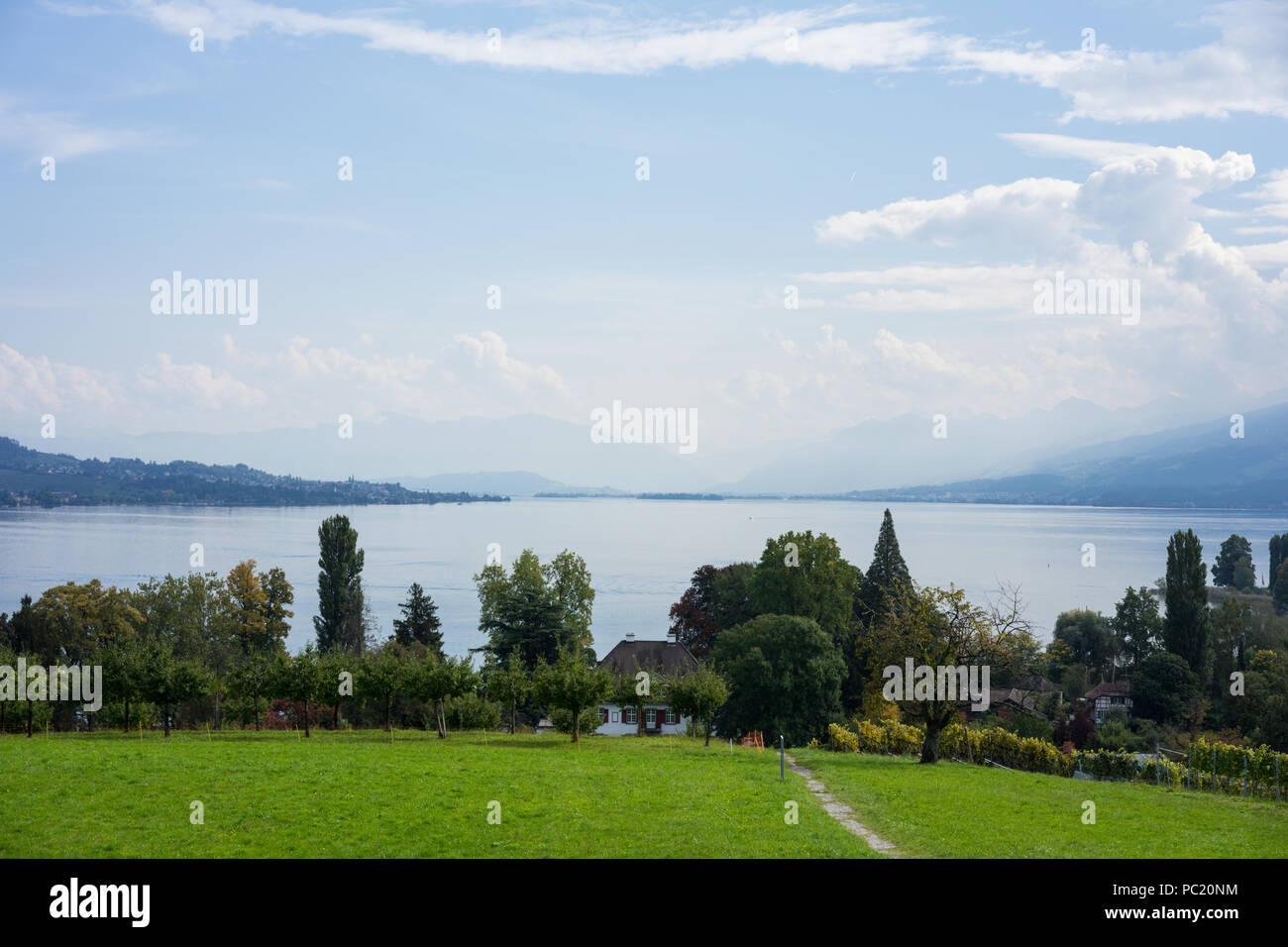 landscape of lake zurich in summer with buildings from hiking trail ...